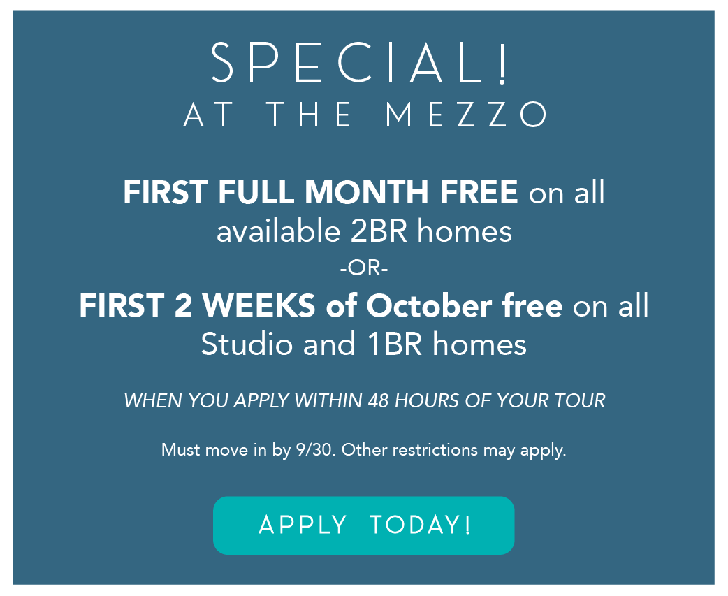 The Mezzo Lofts at City Center - Lux Living RVA