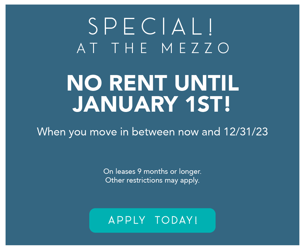 The Mezzo Lofts at City Center - Lux Living RVA